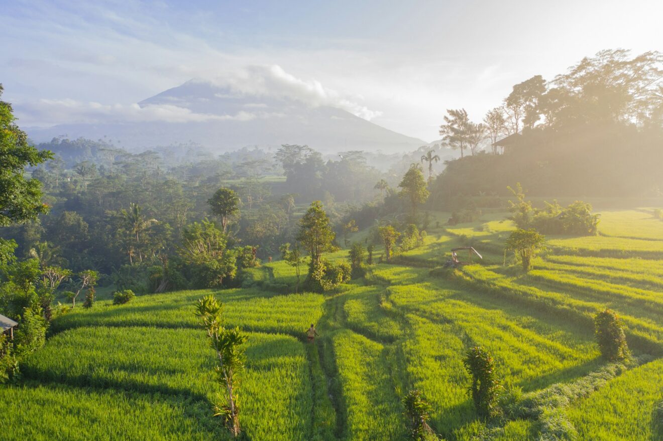 The Importance of Understanding Land Zoning Before Building in Bali ...